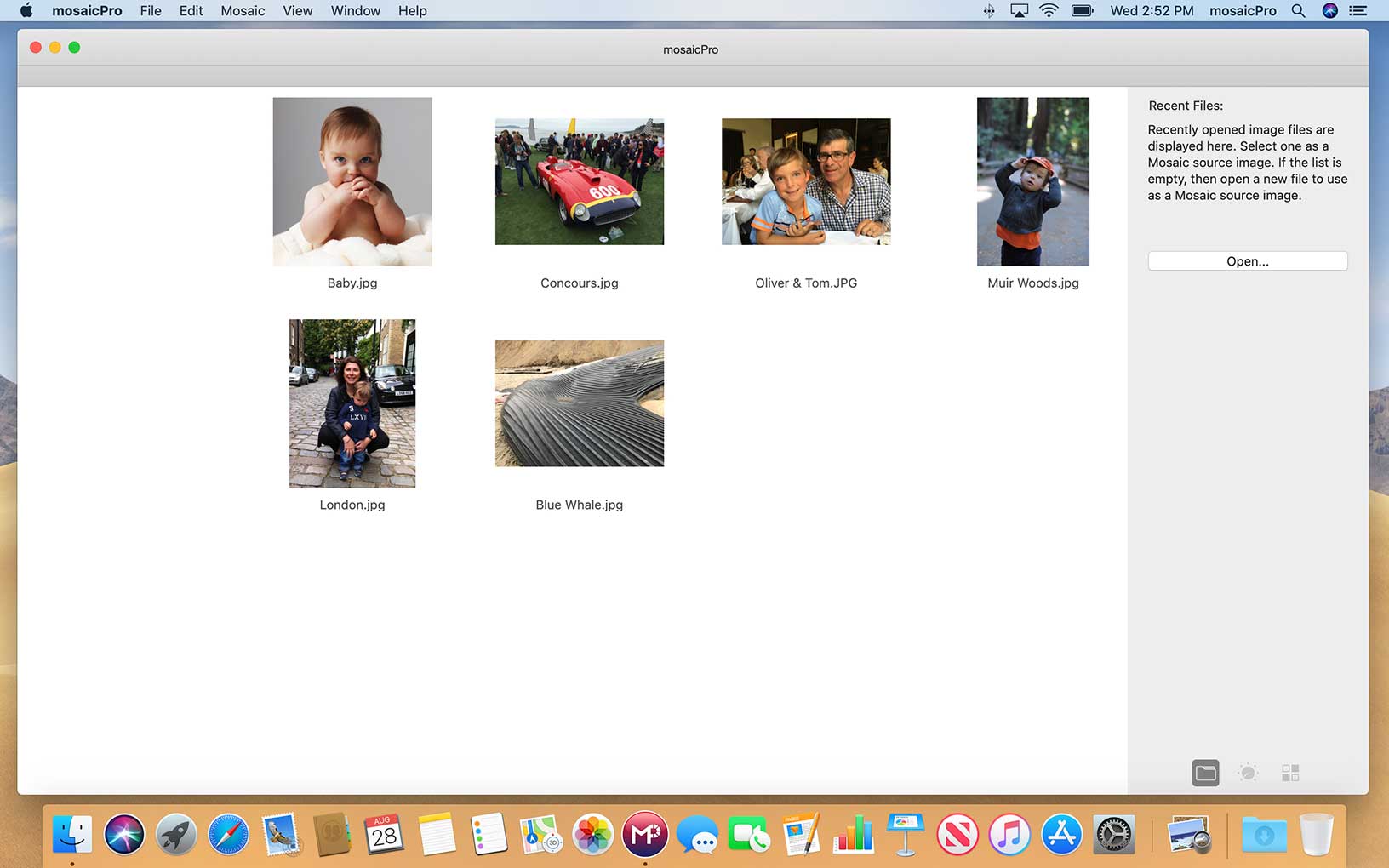 mosaicPro - Photo Mosaic app for Creative Pros